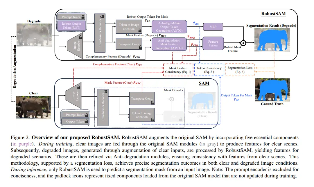 How Robustsam Helps With Blurry Degraded Image Segmentation
